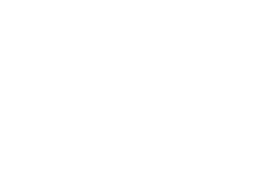 Medec International